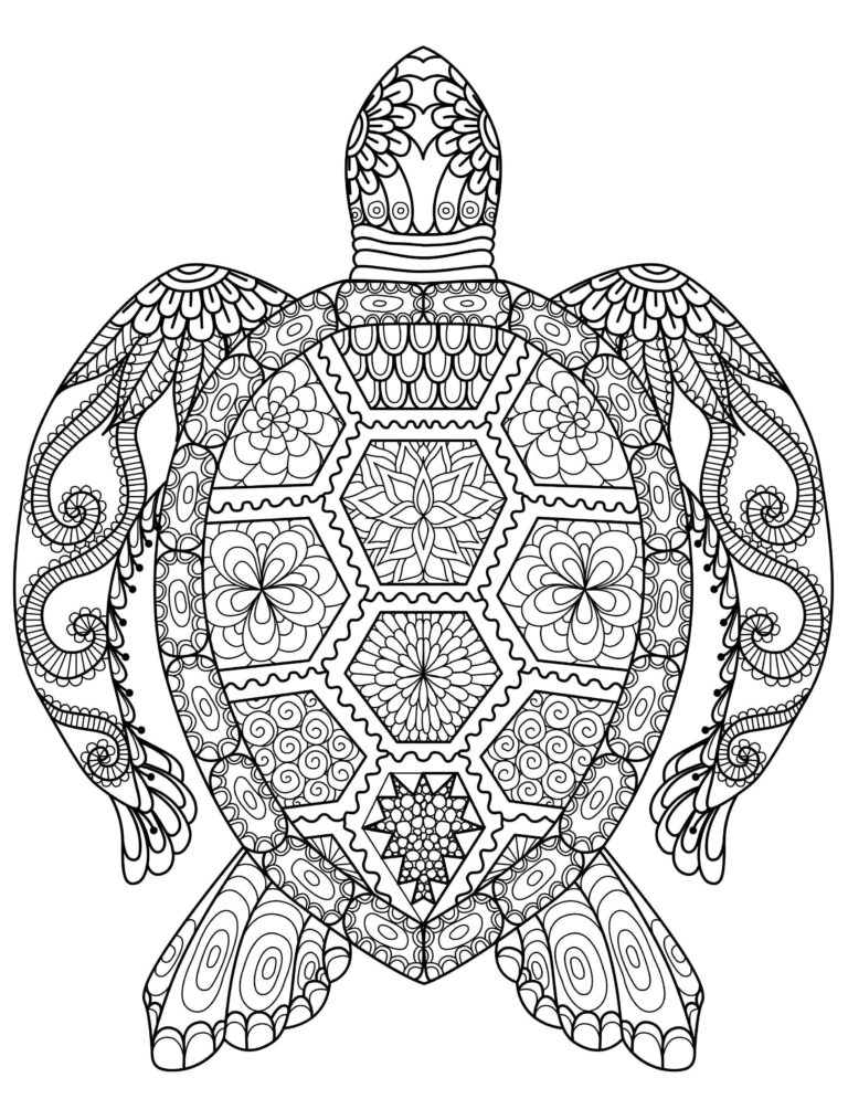 coloriage mandala adulte chat – 123Dessins | Source #1 des Dessins ... coloriage mandala adulte chat – 123Dessins | Source #1 des Dessins ...